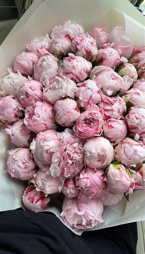 Flowingwaterpress Attack On Titan Mens Hoodie Anime Hoodies Men Women Streetwear Pullover