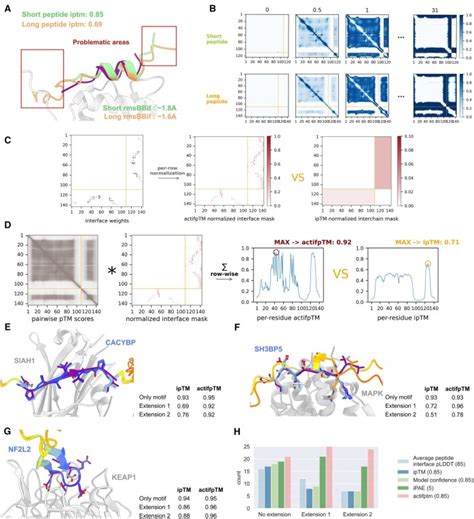 Actifptm A Refined Confidence Metric Of Alphafold2 Predictions Involving Flexible Regions Pmc