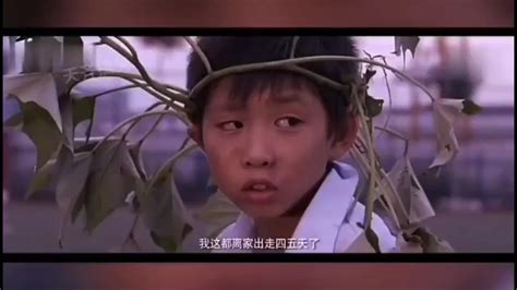 搞笑视频。搞笑哔哩哔哩bilibili