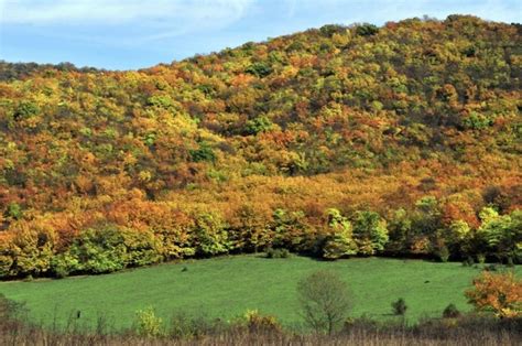 ბაწარა ბაბანეურის სახელმწიფო ნაკრძალი Travel In Georgia