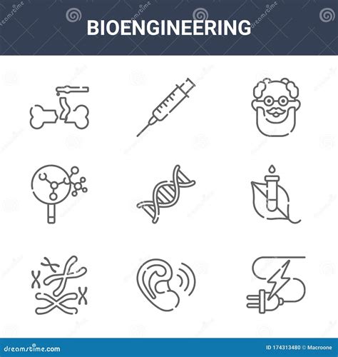 9 Bioengineering Icons Pack Trendy Bioengineering Icons On White Background Stock Vector