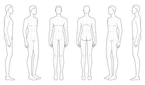 Human Outline Anatomy