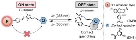 Research Hori Lab Faculty Of Science Kyushu University