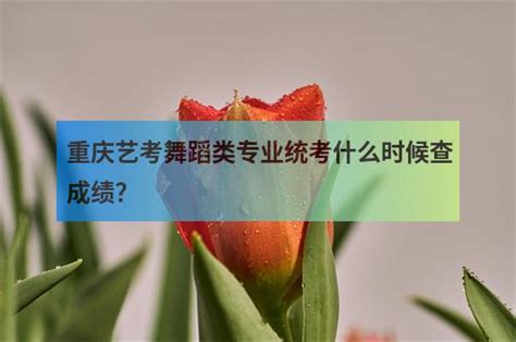 重庆艺考舞蹈类专业统考什么时候查成绩？ 职教网