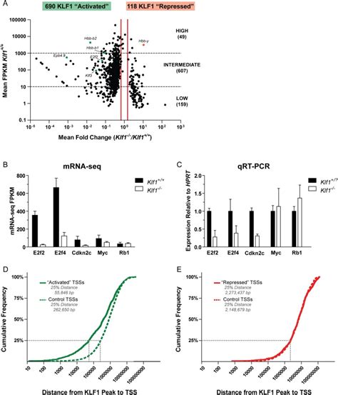 Novel Roles For Klf1 In Erythropoiesis Revealed By Mrna Seq Pmc