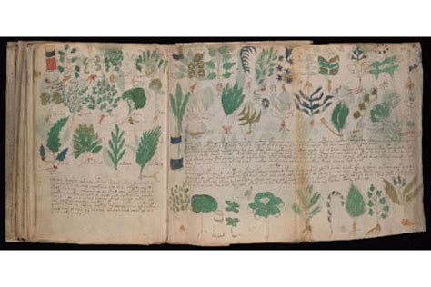 Voynich Manuscript Plants Identified