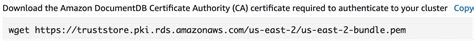 Upgrading An Amazon Documentdb Cluster From Version 40 To 50 With Dms