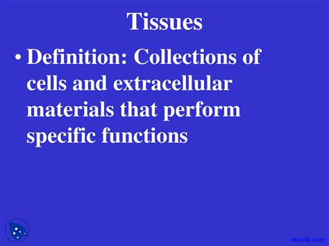 Tissues Basic Human Anatomy Lecture Slides Docsity