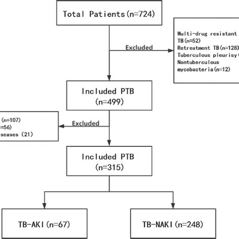 Flow Chart Of Patient Inclusion And Exclusion Ptb Pulmonary
