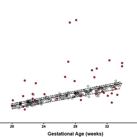 Fetal Heart Using Spatio Temporal Image Correlation In The Rendering