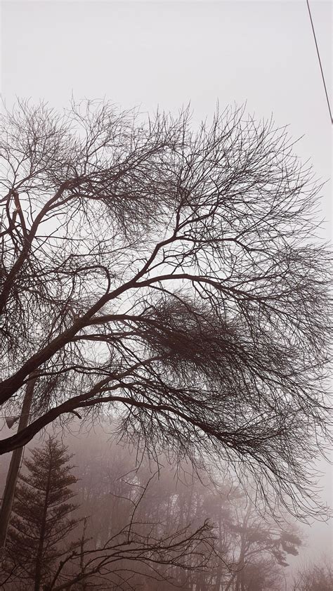 민원 요즘 가급적 외출을 삼가고 묵상하고 글 쓰는 데 집중하고 있습니다 예수님의 말씀 한 자락을 마음에 담은 채 잠에 들고 새벽에 눈이 떠지는 대로 일어나서 어제 쓴