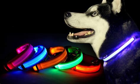 Led Dog Collar Groupon Goods