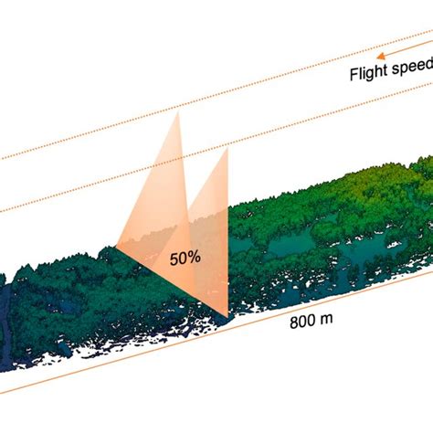 An Illustration Of Uav Lidar Data Collection Scheme In The Coniferous Download Scientific