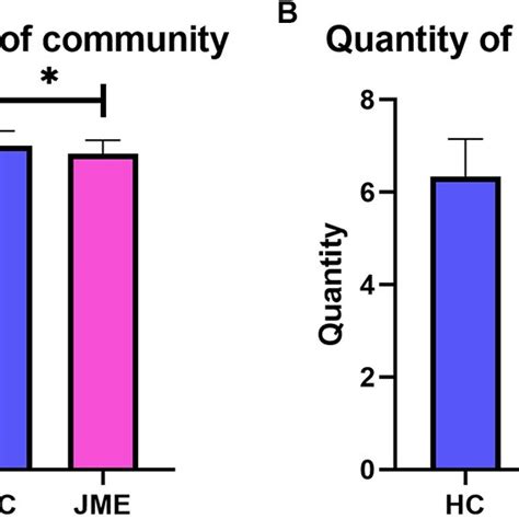 Differences In Metrics Results Between The Healthy Control Groups And