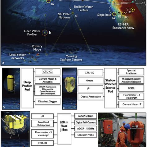 Global Distribution Of Hydrothermal Vents Based On The Interridge Vent Download Scientific