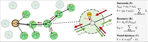 figure 1 from robust and adaptive robot self assembly based on vascular morphogenesis semantic