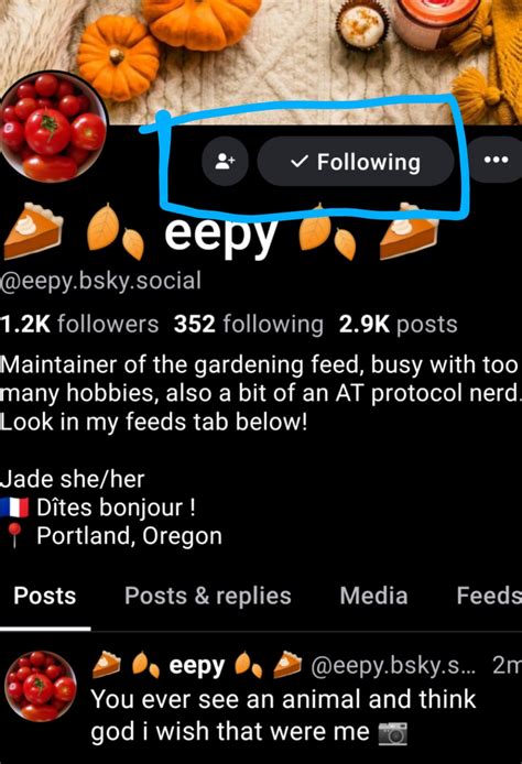 what is the difference between follow and the smaller button next to is r blueskysocial
