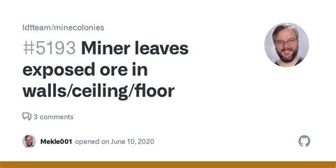 Miner Leaves Exposed Ore In Wallsceilingfloor · Issue 5193 · Ldtteam