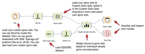 Orange Data Mining Bioinformatics