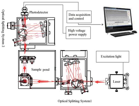 Structure Of Fluorescence Spectrum Detection System Download Scientific Diagram