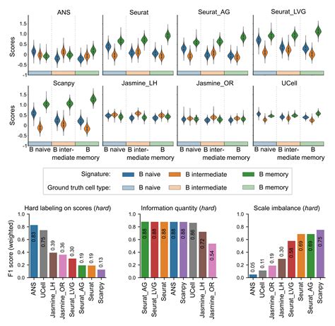 Ans Adjusted Neighborhood Scoring — Ans Documentation