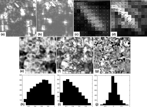 Figure 2 From Multimodality Image Fusion By Using Both Phase And