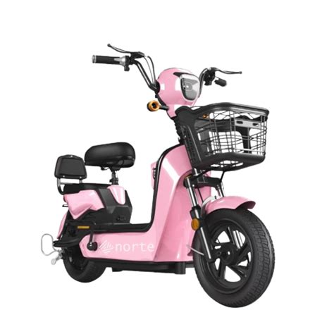 전동 스쿠터 전기 자전거 팻바이크 성인용 출퇴근 미니벨로 사용 후기