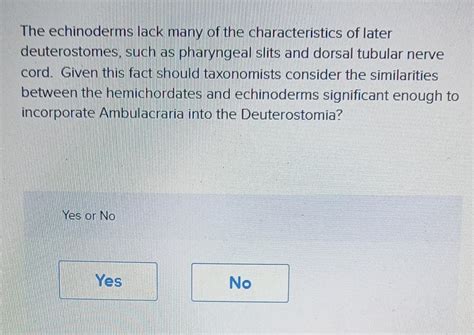Solved The Echinoderms Lack Many Of The Characteristics Of