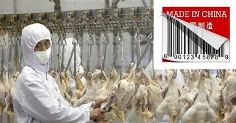 How To Read Barcodes To Find Out Where Your Food Really Comes From NeoPress