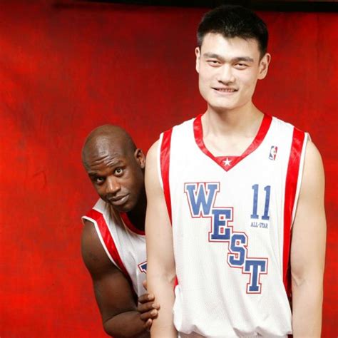 Yao Ming Shaquille Oneal