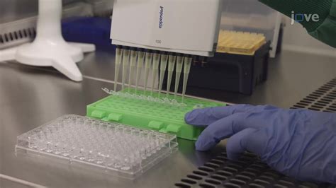 Video The Hemagglutination Inhibition Assay To Detect Serum Antibodies Against A Target Antigen