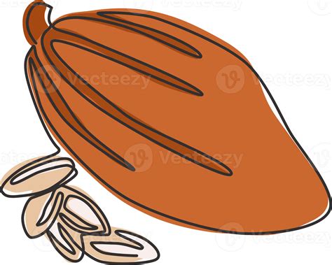 One Single Line Drawing Of Whole Healthy Organic Cocoa Beans For