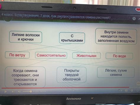 по картинке нужно сделать конспект по естествознанию даю 20 баллов