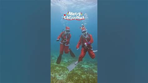 싱크가 너무 잘 맞아서 놀란 징글벨 산타클로스 여행브이로그 여행영상 스쿠버다이빙 수중영상 크리스마스 메리크리스마스 Youtube