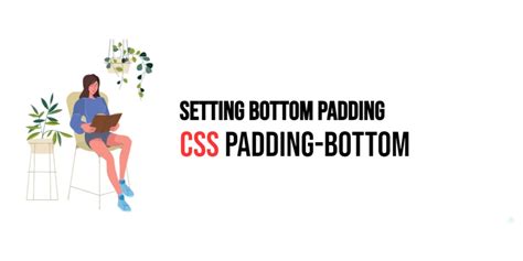 css border width setting border widths