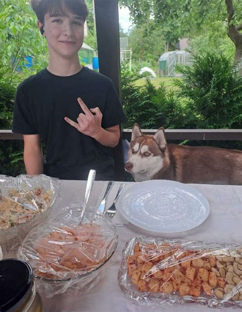 Мопс в дипресии Youtube