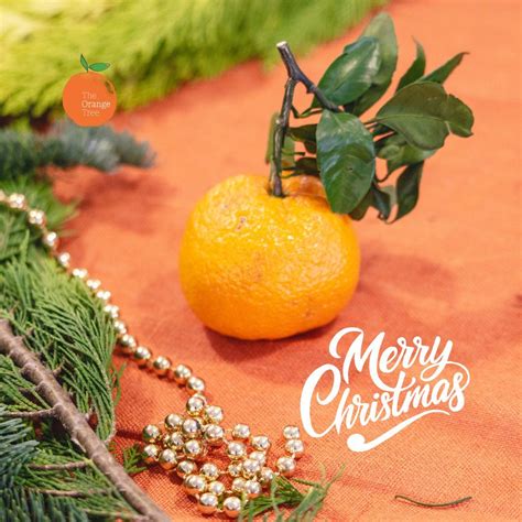 Merry Christmas From The Orange Tree A Huge Thank You To All Our Members Visitors And