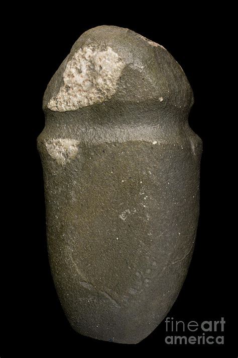 Neolithic Axe With A Basalt Throat Photograph By Pascal Goetgheluck Science Photo Library Fine