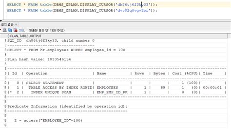 Oracle Plsql Sql과 실행 계획