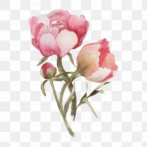 Open Source Unicode Typefaces Typography Brush Script Font PNG X Px Typeface Brush