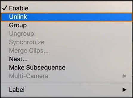 How To Remove Audio From Video In Premiere Pro Rush 2025 Tips