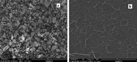 Sem Photographs Of A Bare Bdde Electrode And B Modified Oppy Bdde