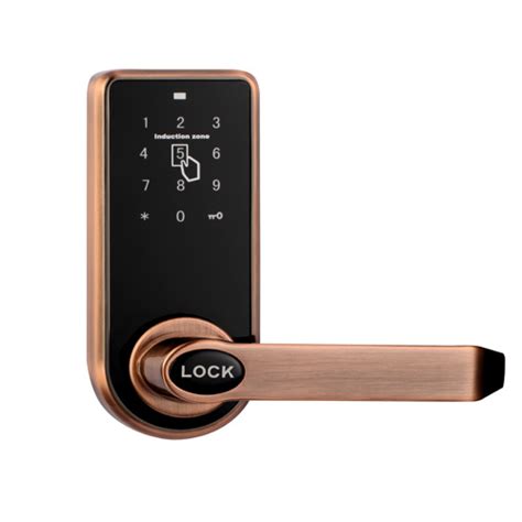 Electronic Code Lock Unlocked By Code Or Em Card With Mechanical Key And WiFi As Emergency