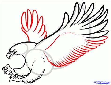 How To Sketch An Eagle In Pencil Draw An Eagle Bird Step 5 Flying Bird