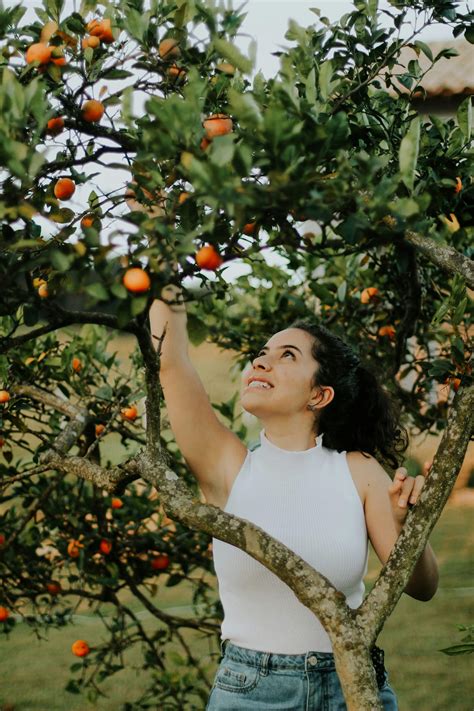 Лучшие фото 60 000 по запросу Myfruitsforumgalleries