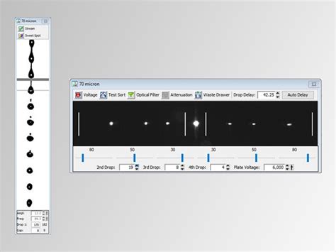 Bd Facsymphony™ S6 6 Way Cell Sorter Bd Biosciences