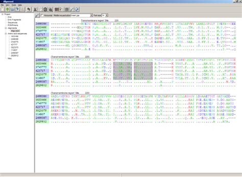 The Alignment Module Download Scientific Diagram