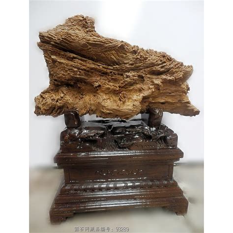 亿万年树木化石 树化玉摆件 天然原石 硅化木奇石收藏 木化石特价 石馆 国石网