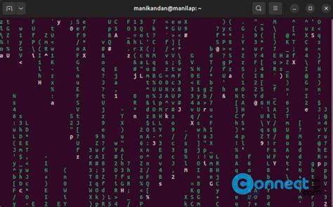 The Matrix Falling Green Characters On Ubuntu Terminal CONNECTwww
