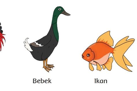 Bebek Pecel Lele Png 57 Koleksi Gambar